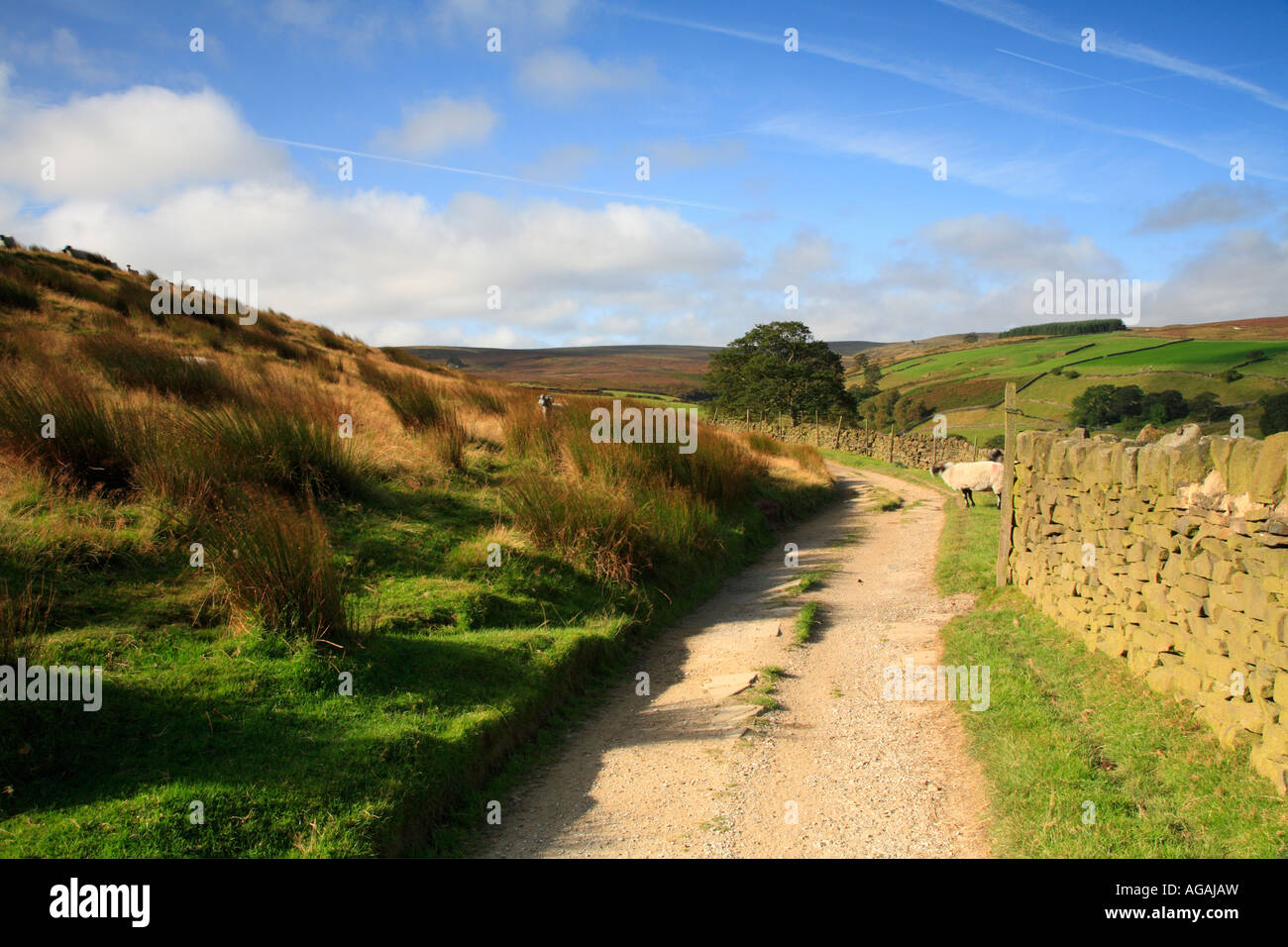 Bronte Way, Haworth Moor, Haworth, West Yorkshire, England, UK Stock ...