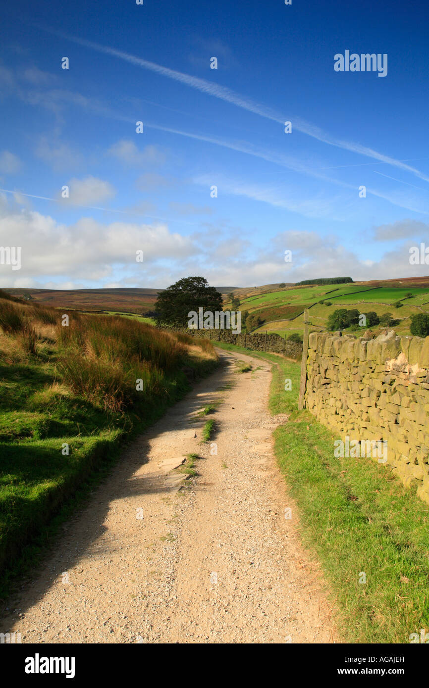 Bronte Way, Haworth Moor, Haworth, West Yorkshire, England, UK Stock ...