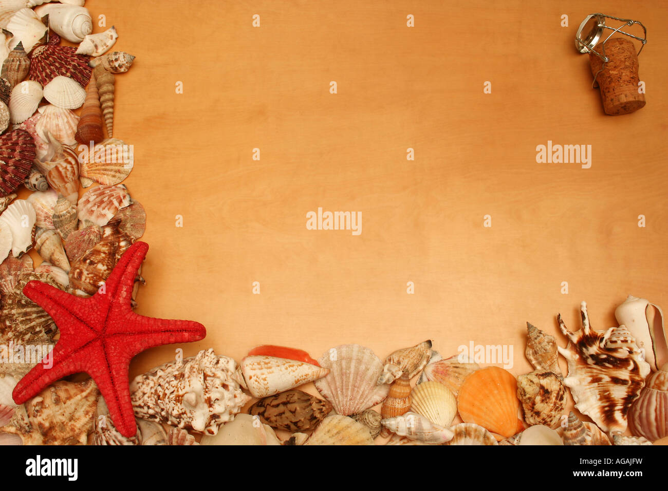 Champagne cork and shell decoration Stock Photo - Alamy