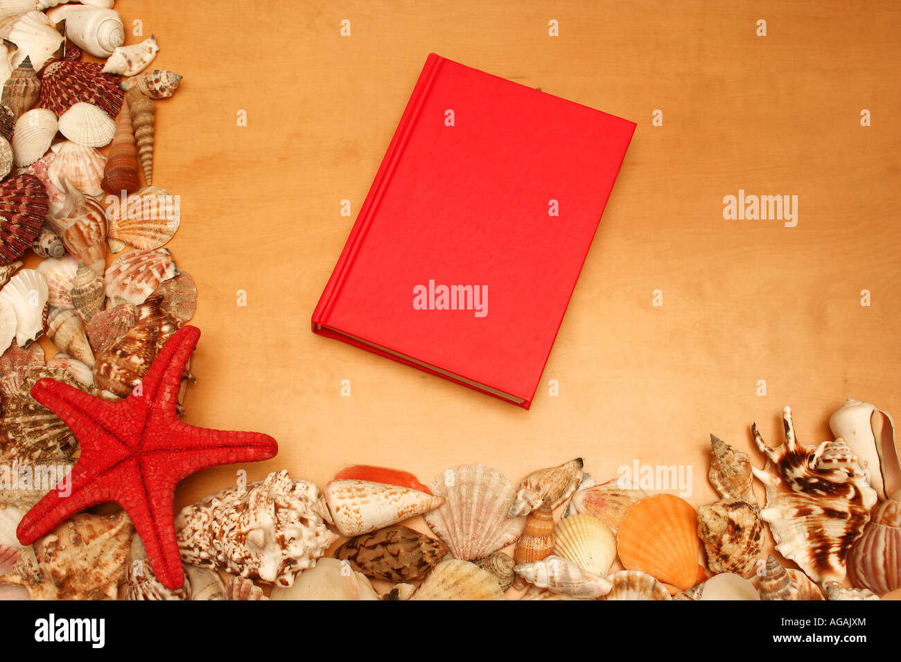 Shells And Book High Resolution Stock Photography and Images - Alamy