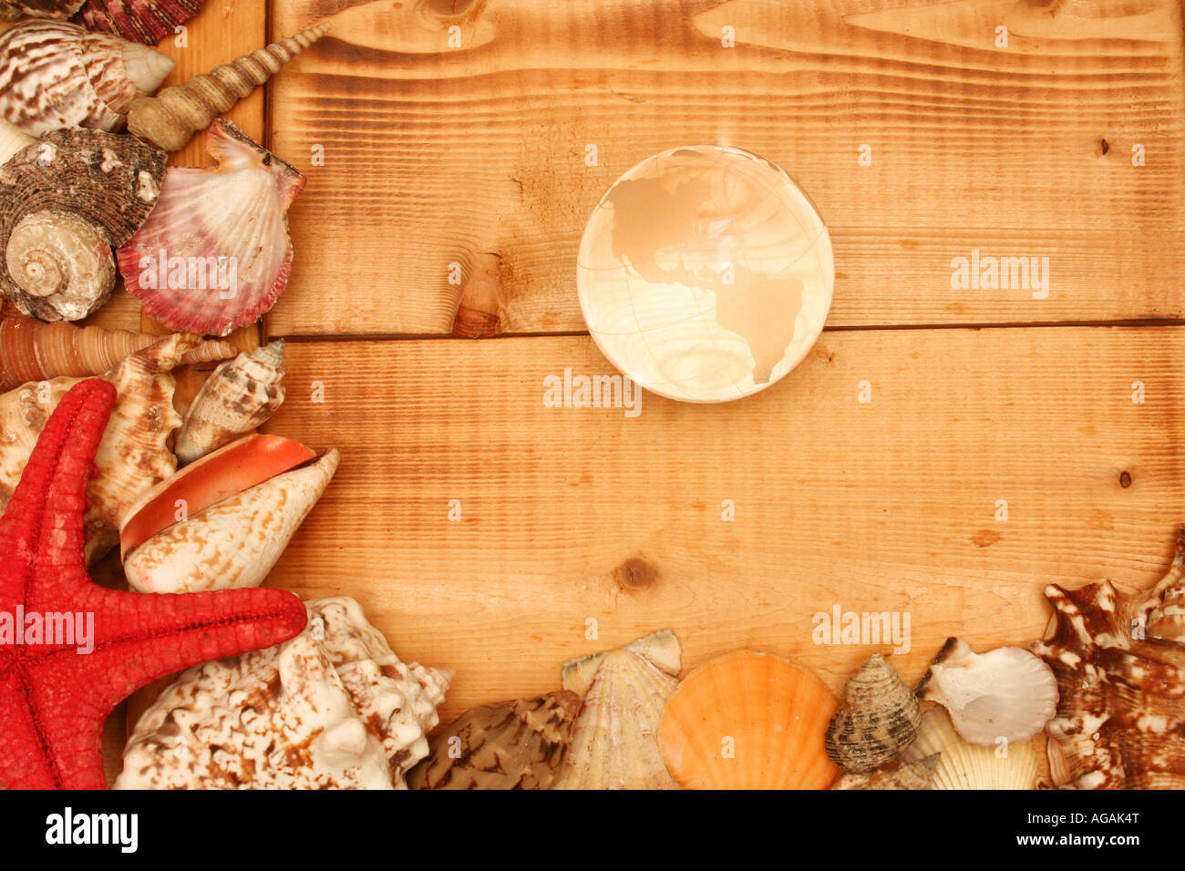 Translucent shells hi-res stock photography and images - Alamy