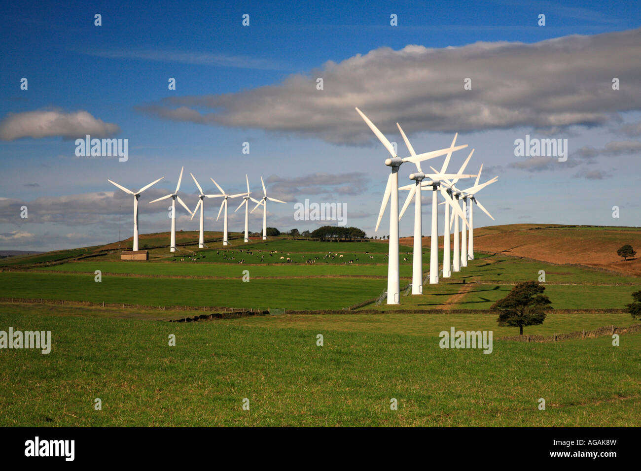 Royd Moor Wind farm, Penistone, Barnsley, South Yorkshire, England, UK ...