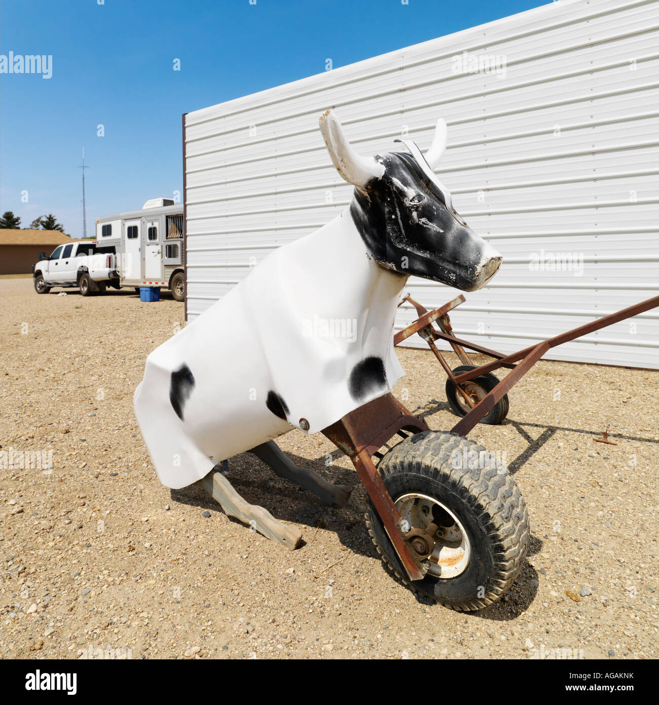 Lasso practice hi-res stock photography and images - Alamy