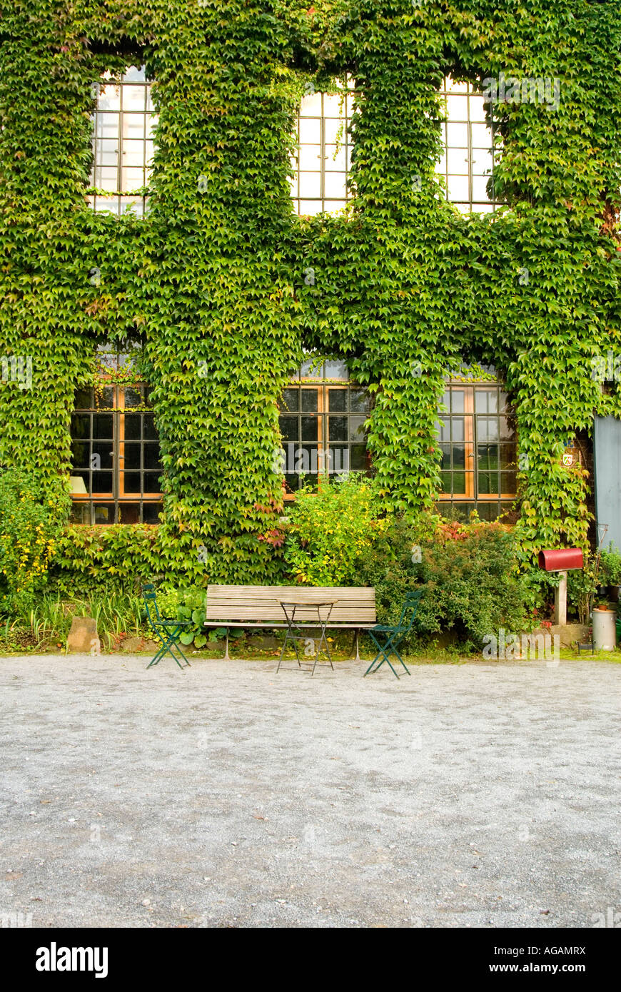 Vine covered front II Stock Photo - Alamy