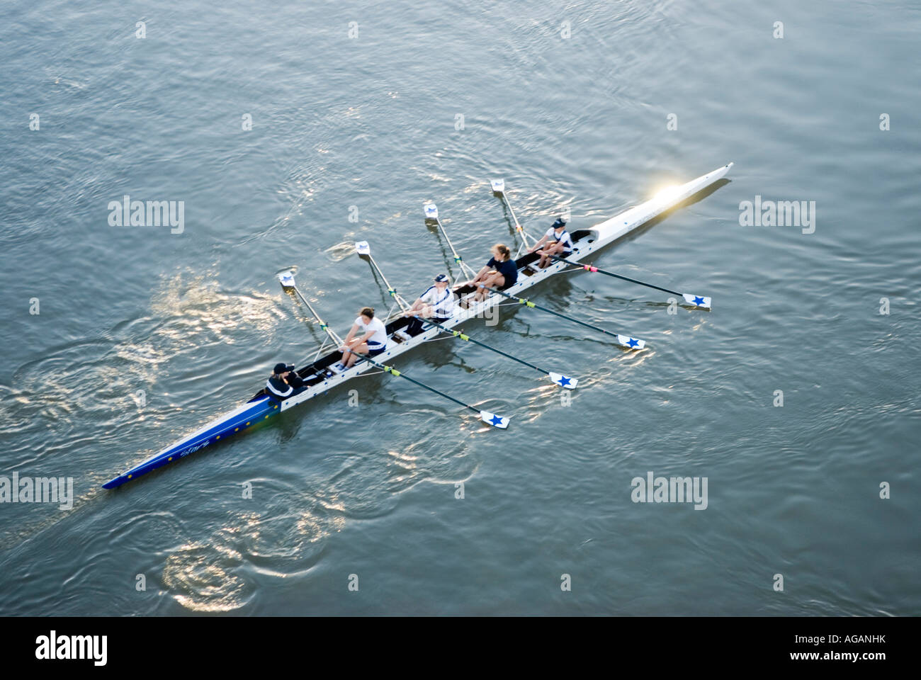 Rowing on the Brisbane River Brisbane Queensland Australia Stock Photo ...