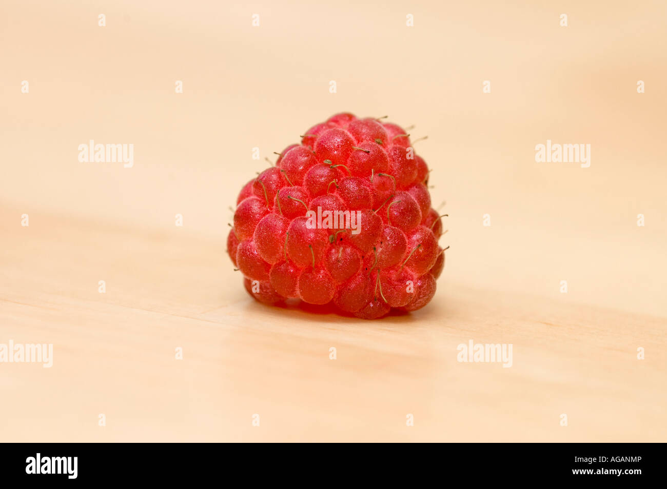 close up of wild fruit single raspberry Stock Photo - Alamy