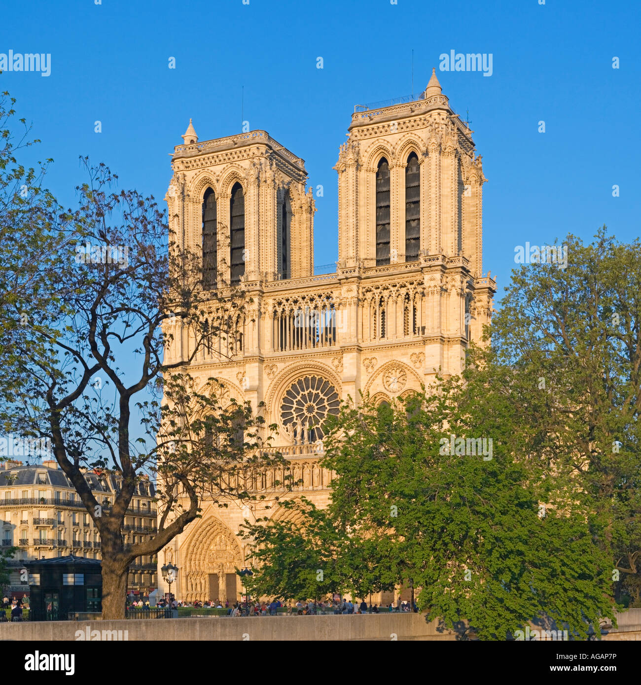 Paris France view of Notre Dame cathedral from Seine River banks Stock ...