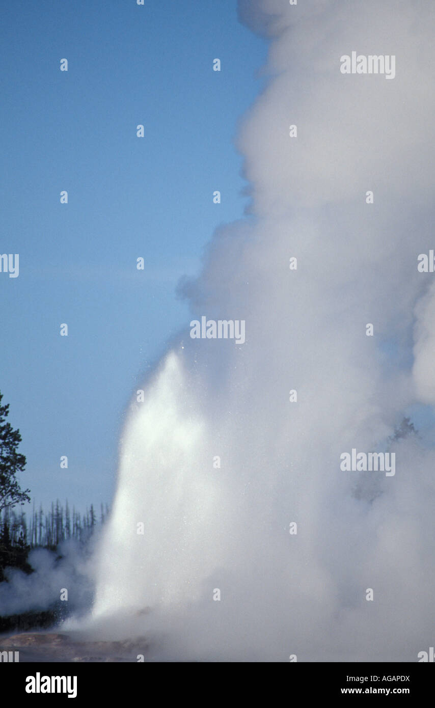 Old Faithful geyser eruption erupting Yellowstone National Park smoke ...