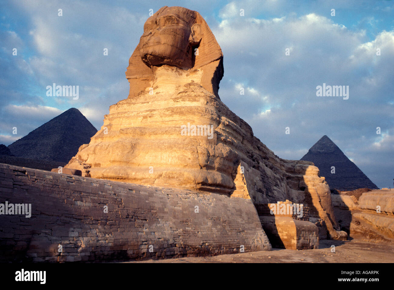 Egypt Great Sphinx closeup lion paws pyramids in background near ...