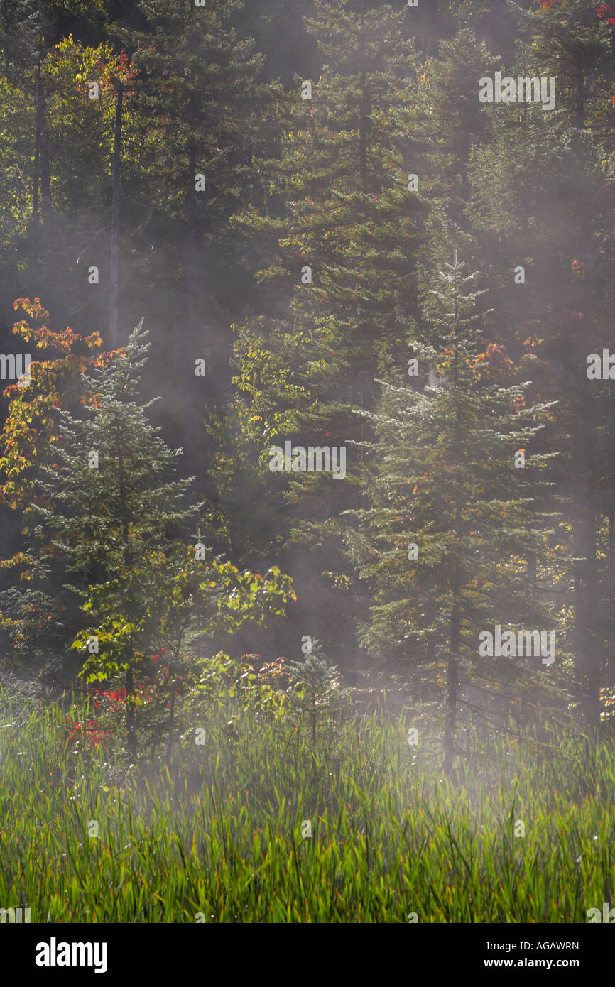 Early morning mist in the Adirondack Mountain region of New York State ...