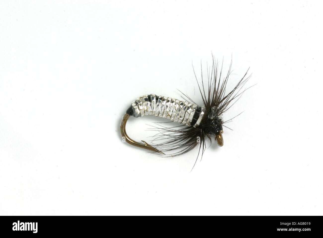 fishing fly Weighted Silver Spider Trout fly Stock Photo - Alamy