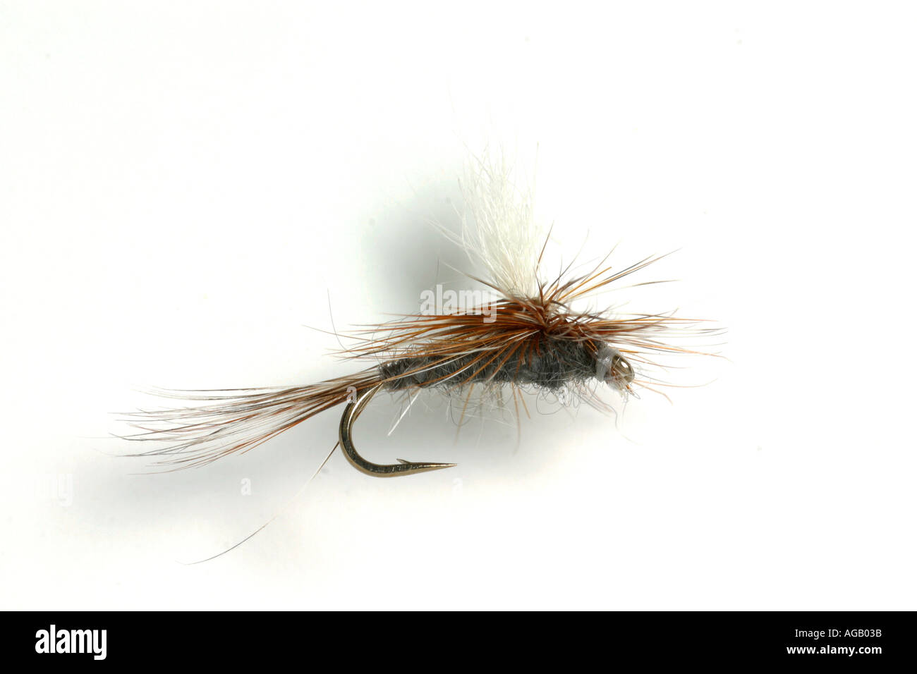 Parachute Adams Trout fly fishing fly Stock Photo - Alamy