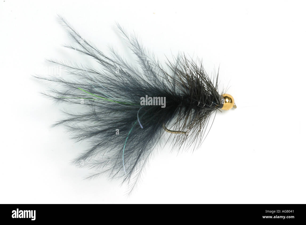 Gold Headed Black Woolly Bugger Trout fly Stock Photo - Alamy
