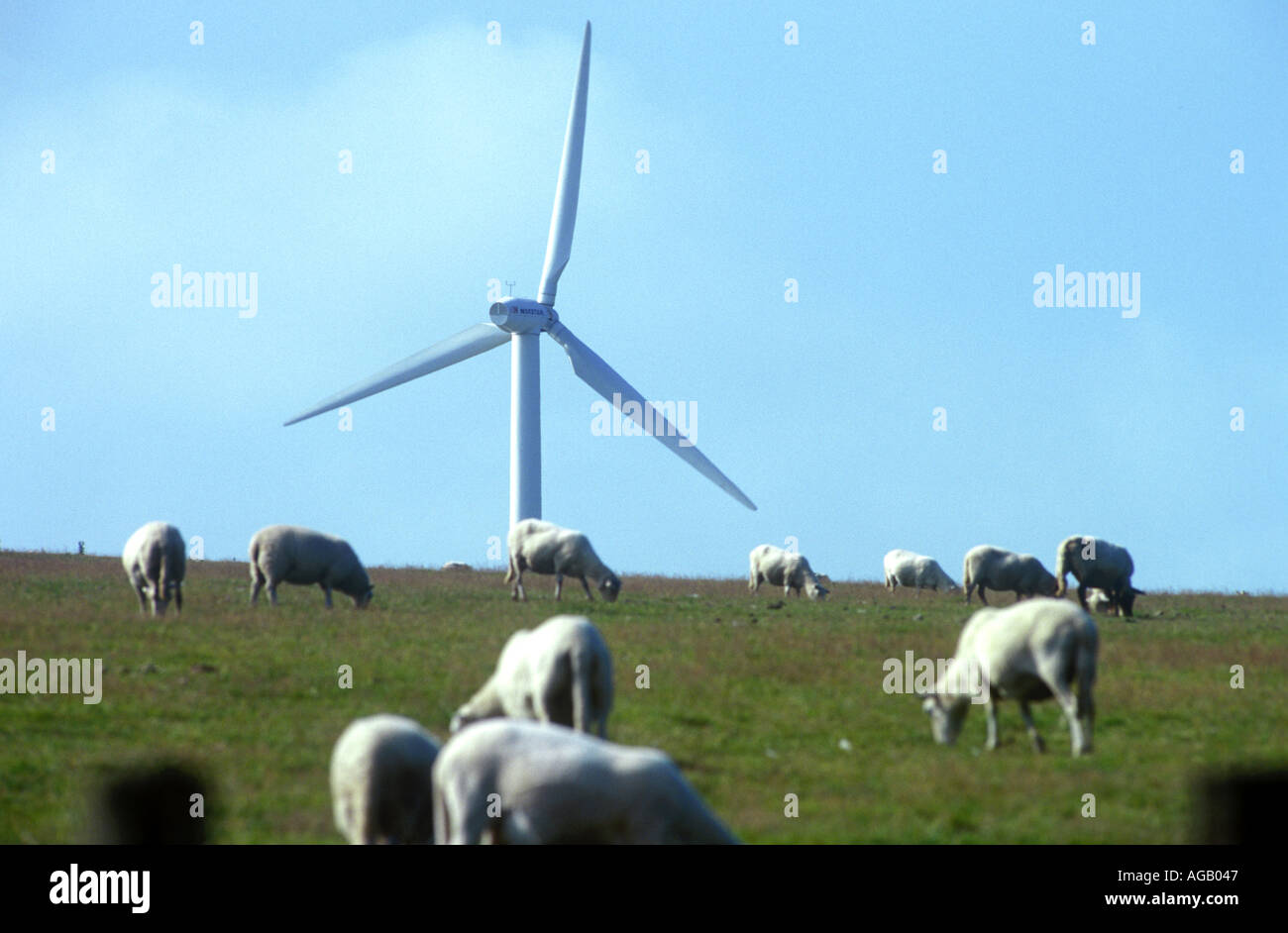 Wales sheep wind turbine hi-res stock photography and images - Alamy
