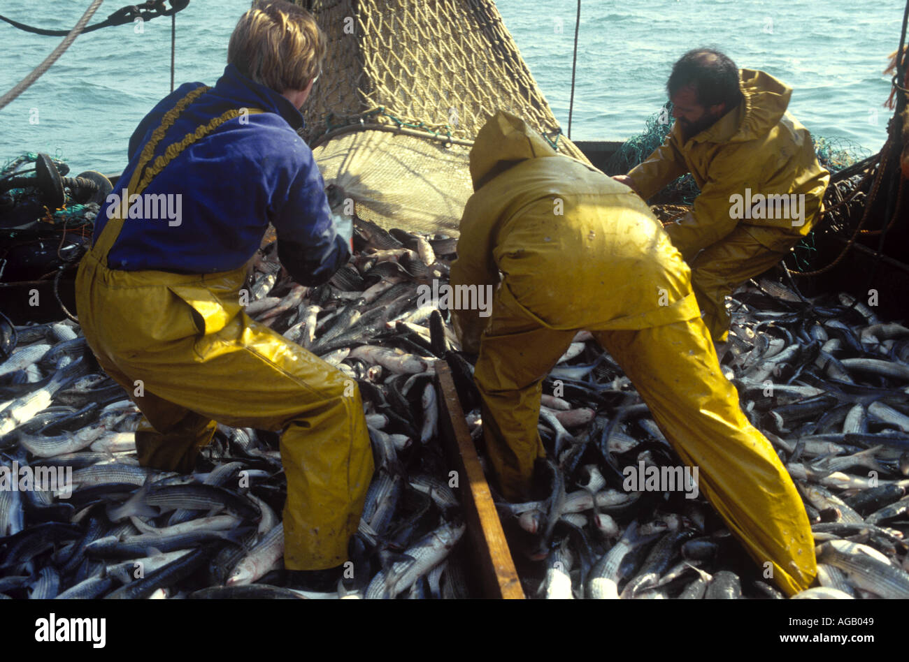 Fishing in the English Channel Stock Photo - Alamy