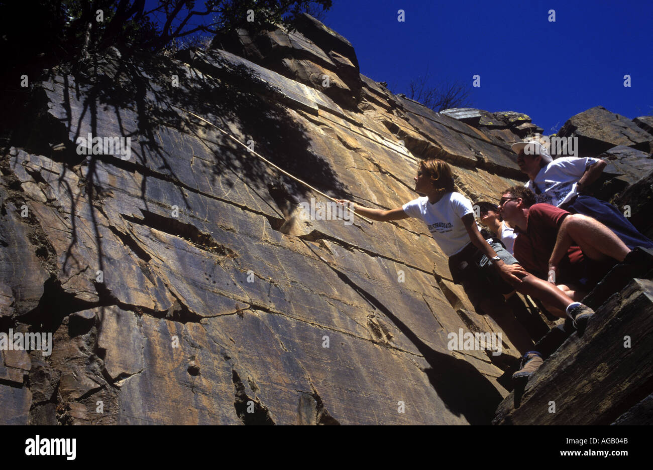 Paleolithic rock engravings discovered next to the Coa river North East ...