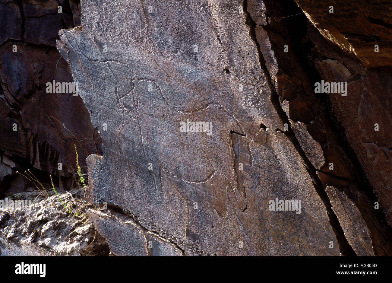 Paleolithic rock engravings discovered next to the Coa river North East ...