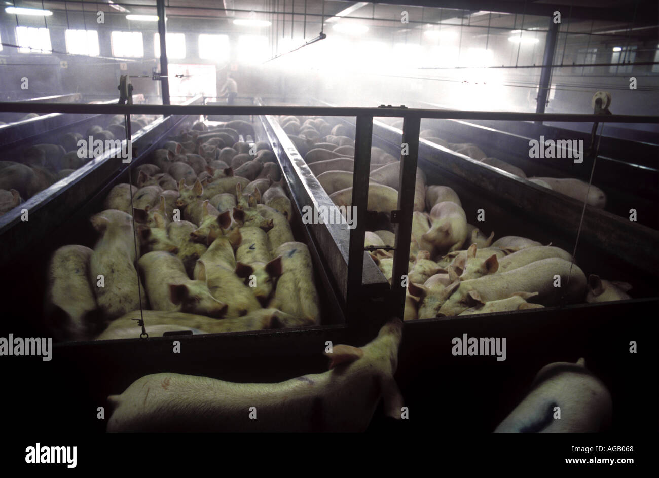 Unseen food process hi-res stock photography and images - Alamy