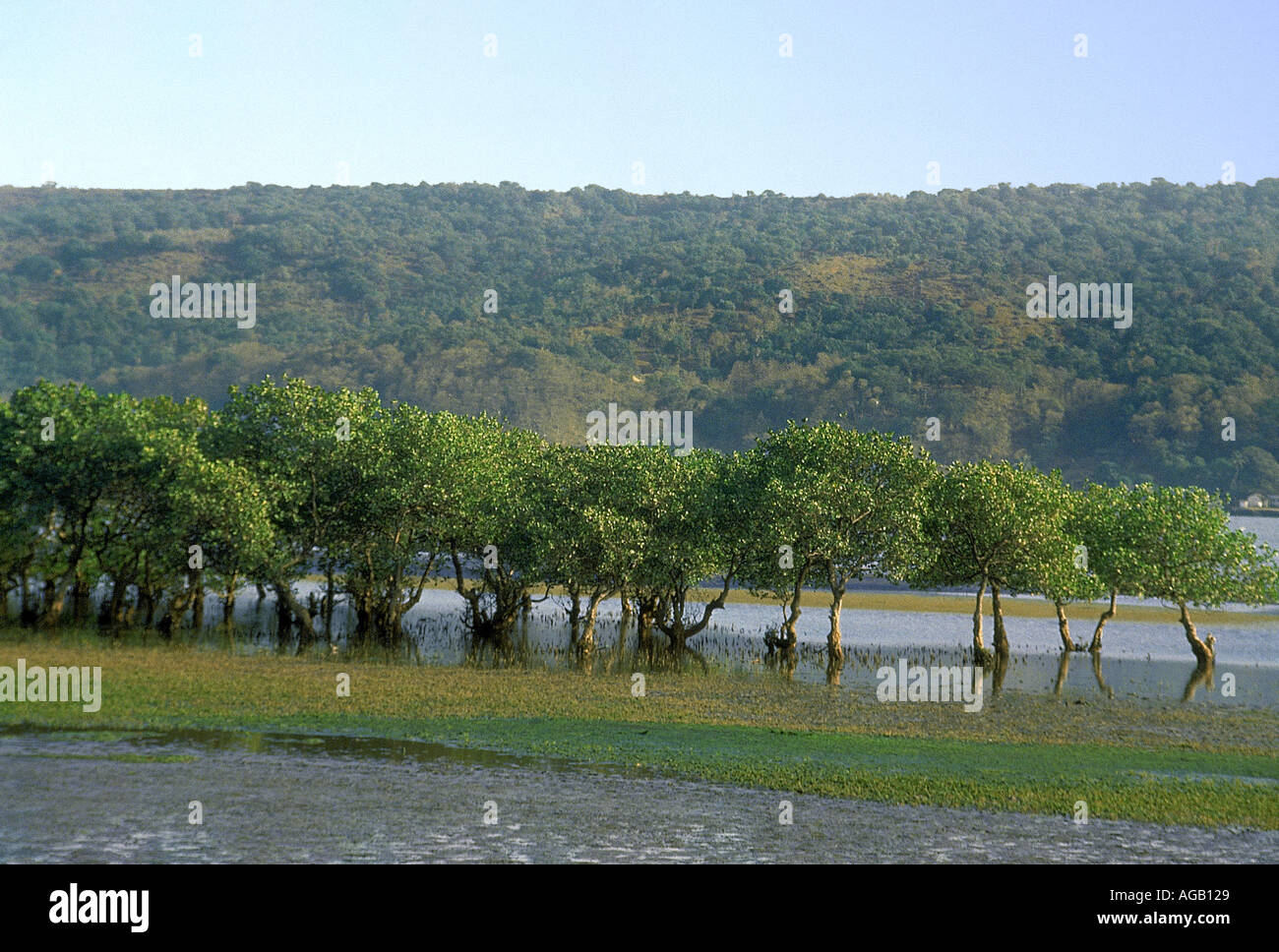 Ganpati Pule Maharastra India Stock Photo - Alamy
