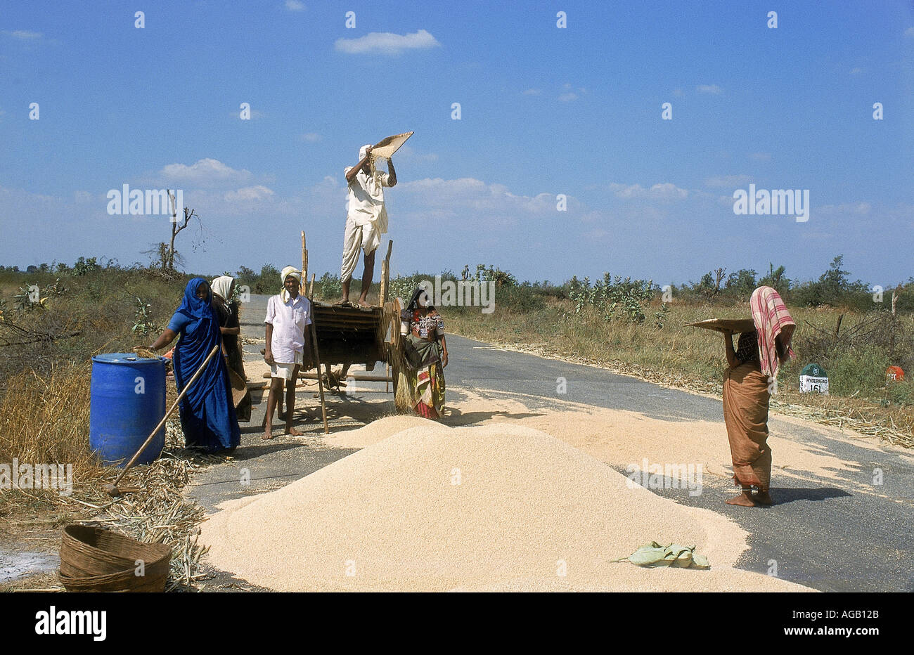 Winnowing separating grain from the husk with a sieve Stock Photo - Alamy