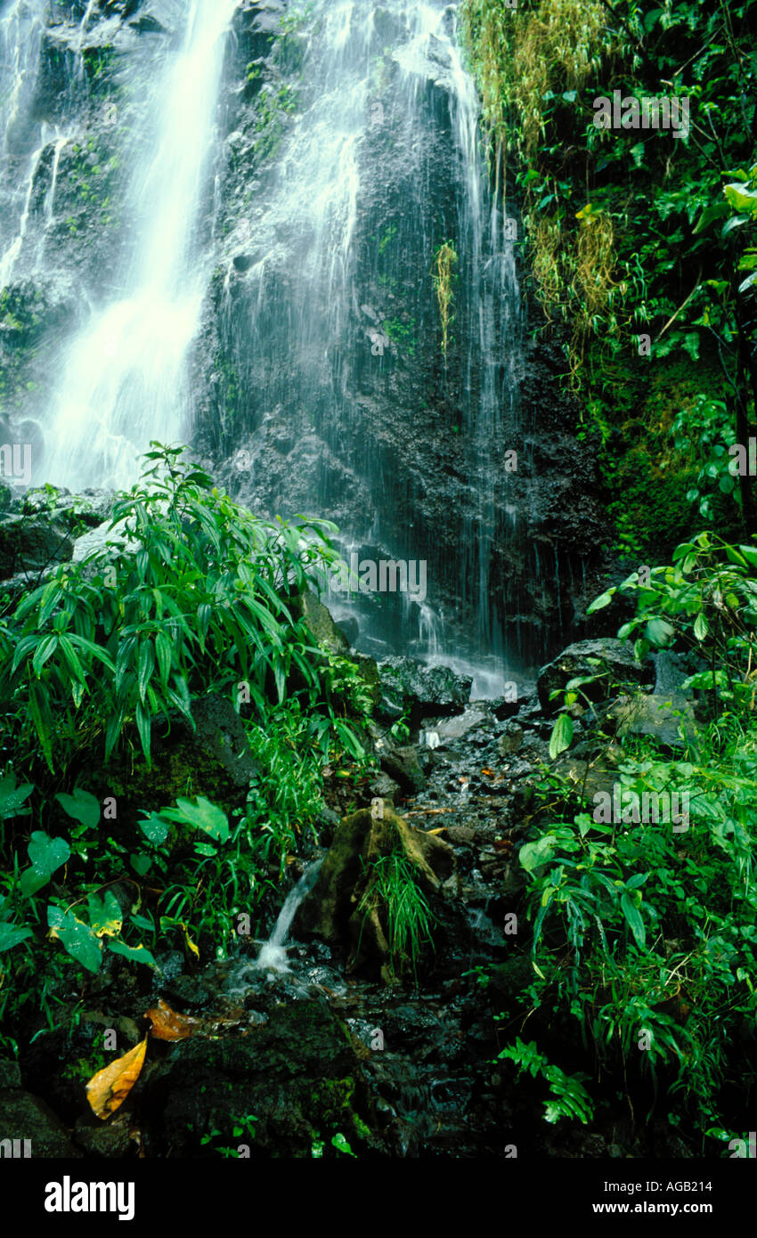 Waterfall at Anse des Cascades Reunion Island Stock Photo - Alamy