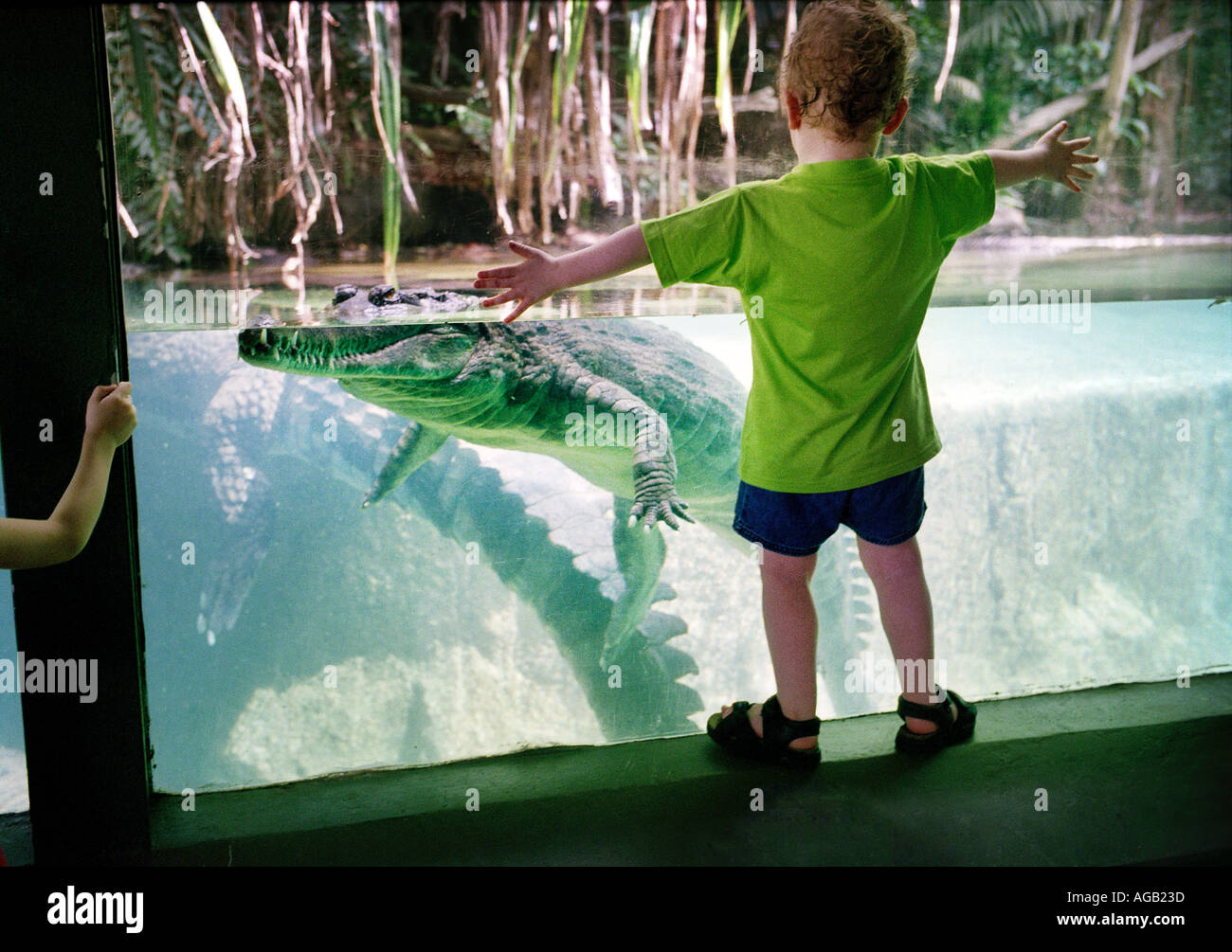 Croc sandals hi-res stock photography and images - Alamy