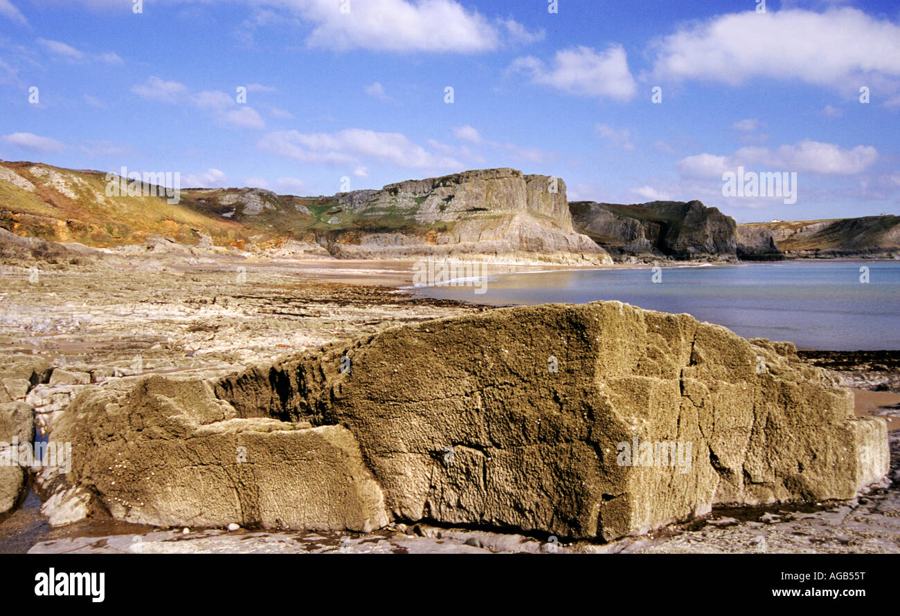 Seashore and cliffs Mewslade Bay Gower Stock Photo - Alamy