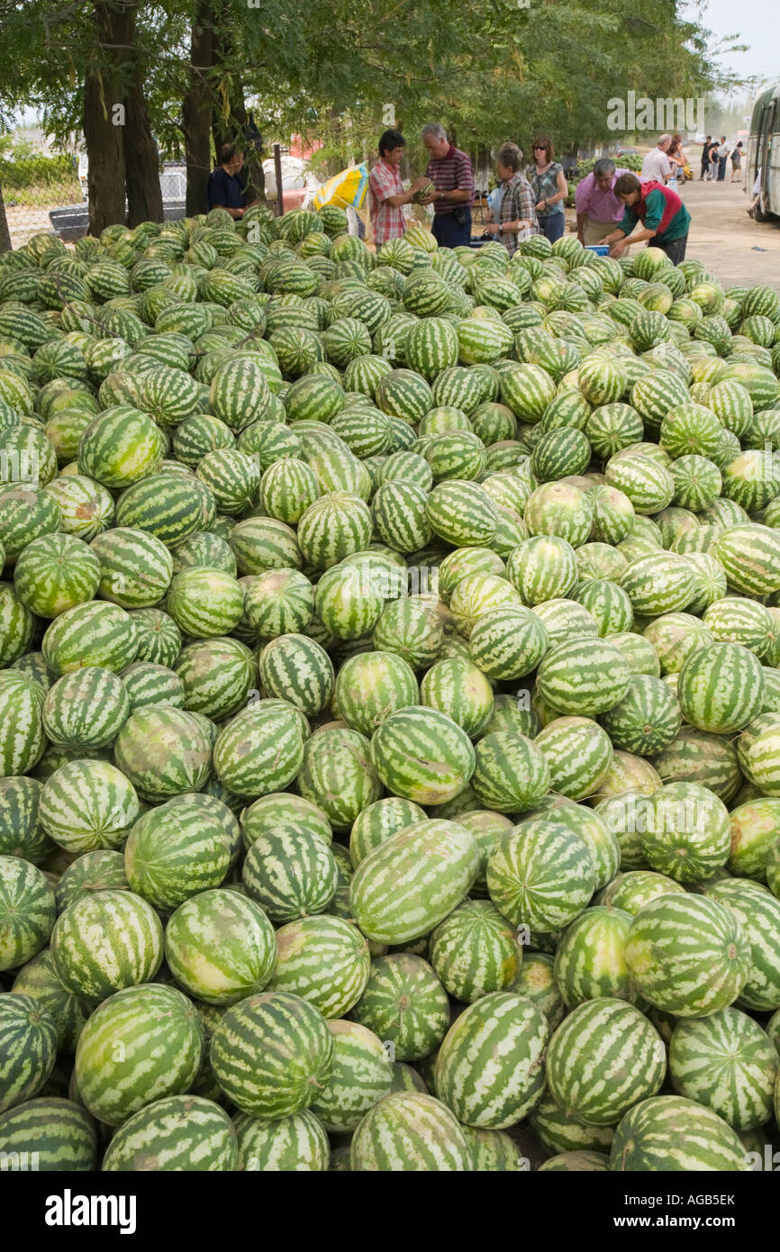Greengrocers selling watermelons to tourists by the roadside Stock ...