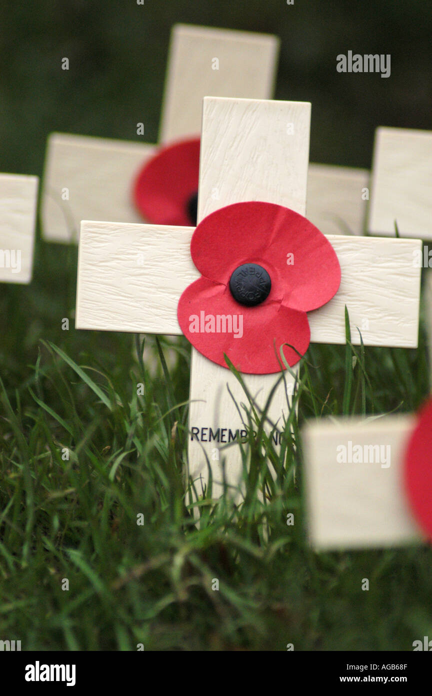 Poppy crosses at Chipping Norton War Memorial Stock Photo - Alamy