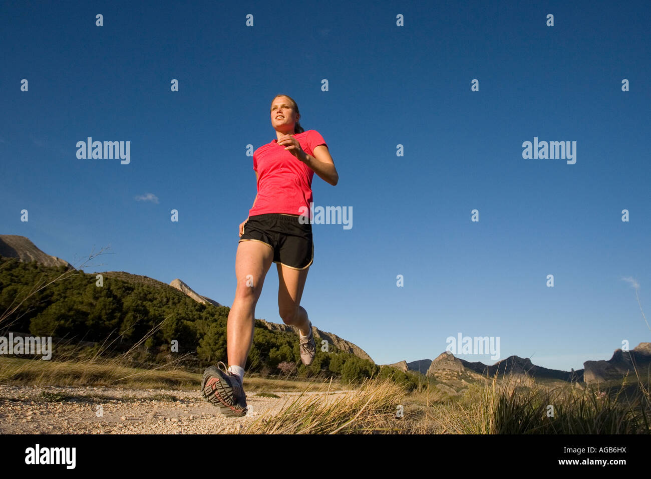 Female runner on mountain trail Stock Photo - Alamy