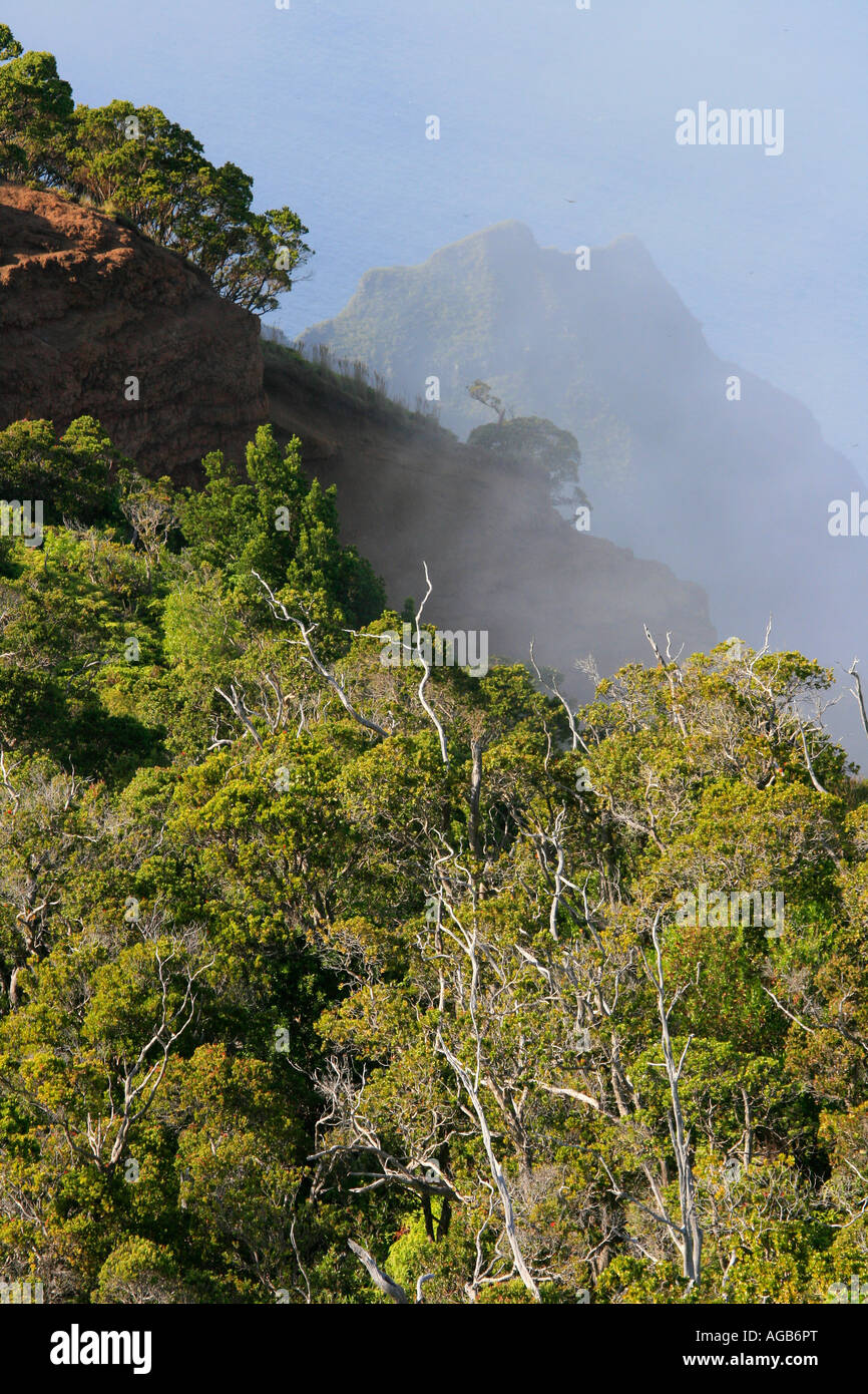 Kalalau Lookout Kokee State Park Kauai Hawaii Stock Photo - Alamy