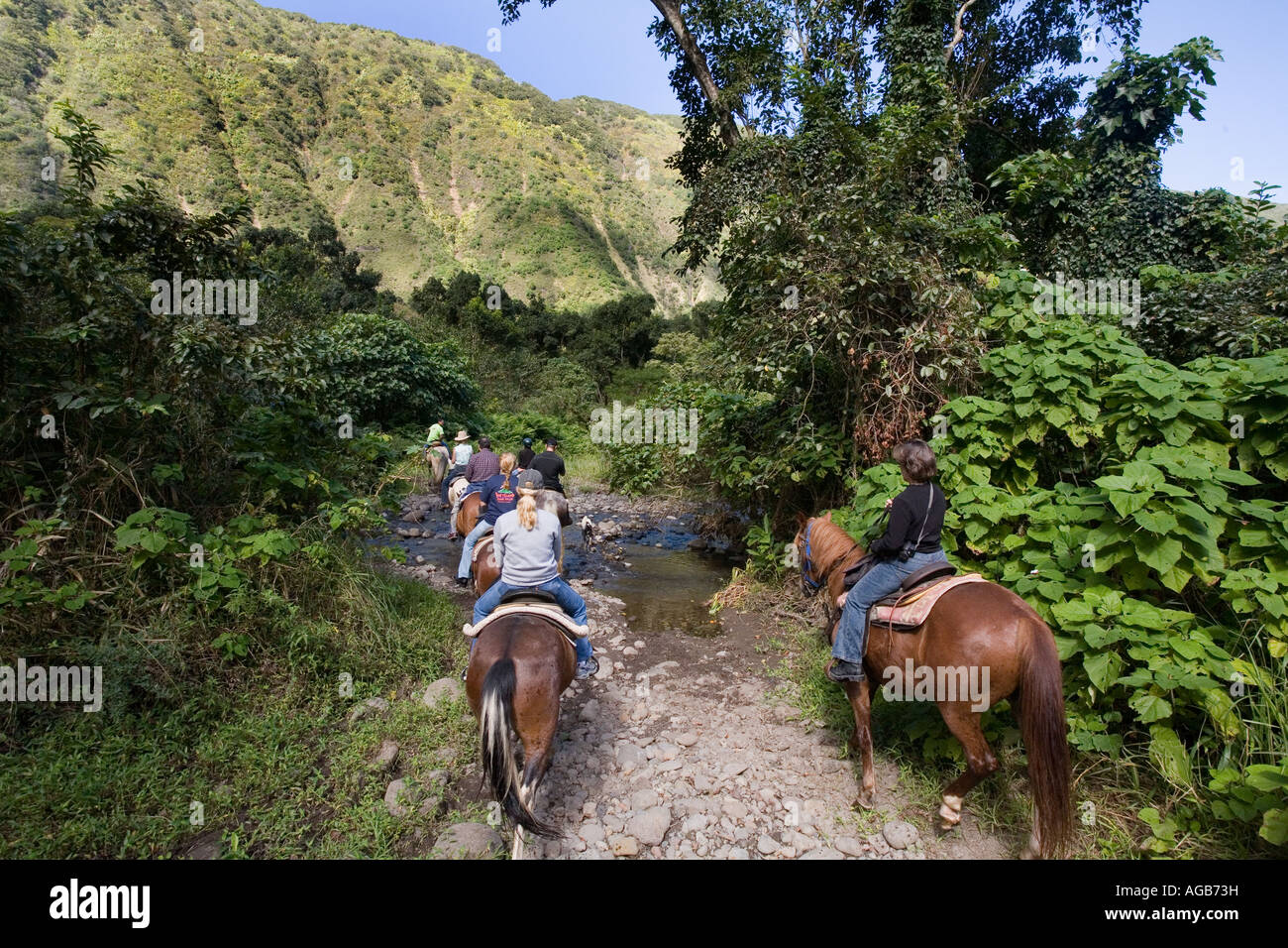 Naalapa Stables Horseback riding Waipio Valley Hamakua Coast Island of ...
