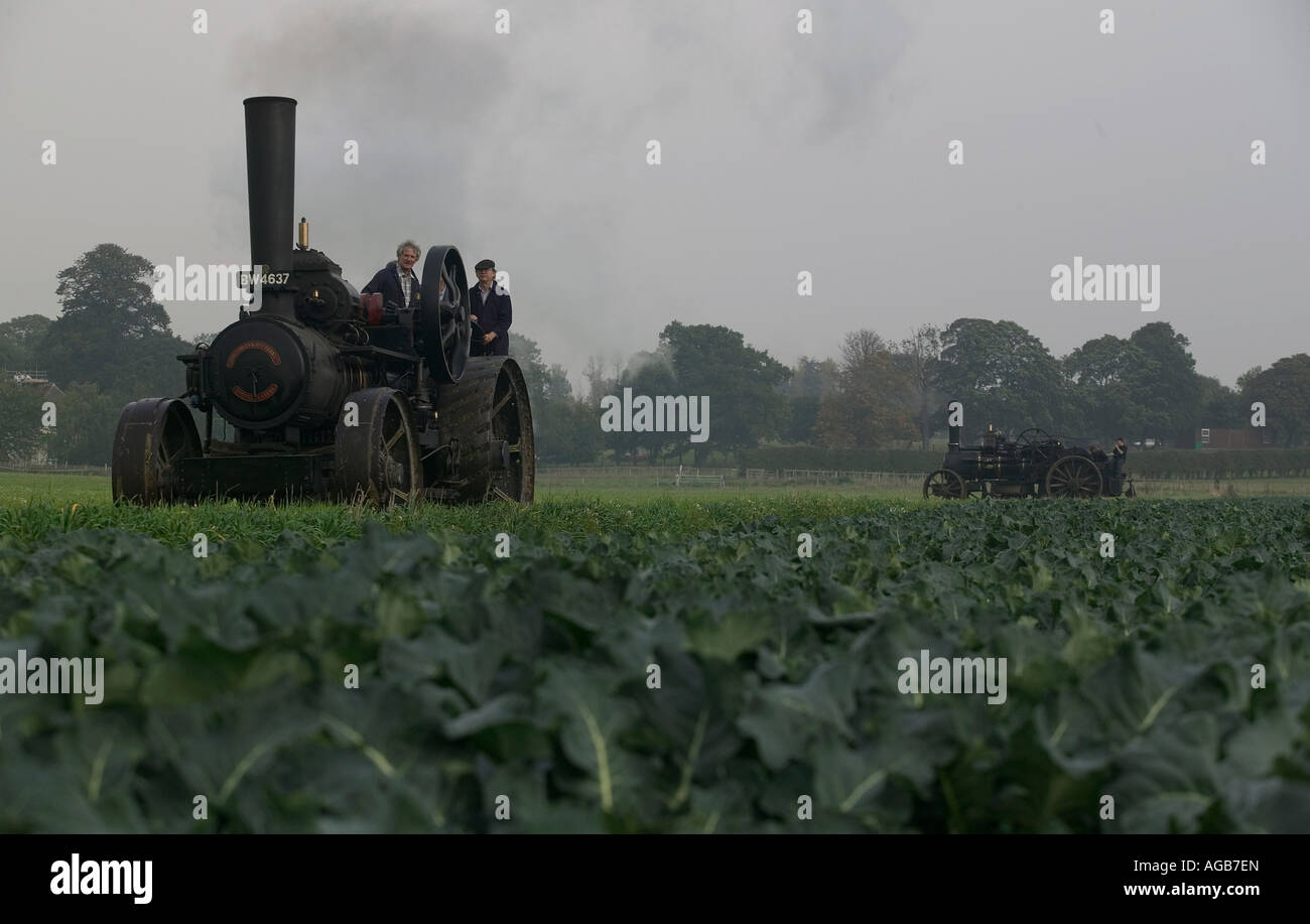 Traction engine victorian hi-res stock photography and images - Alamy