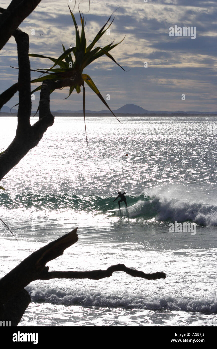 MONOTONE SURFER SEASCAPE NOOSA BEACH VERTICAL BAPDA8434 Stock Photo - Alamy