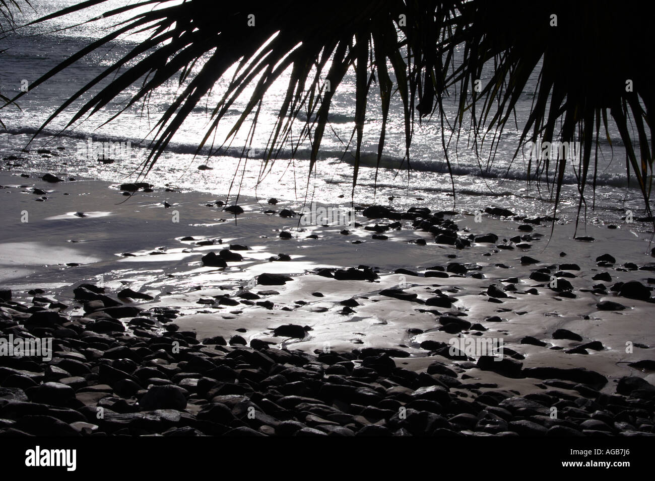 Noosa beach wave break hi-res stock photography and images - Alamy