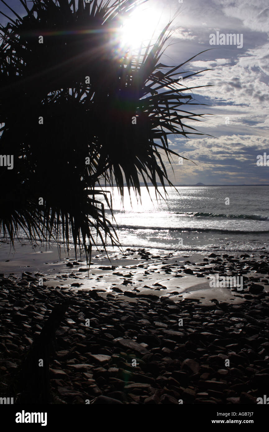 MONOTONE SEASCAPE NOOSA BEACH VERTICAL BAPDA8439 Stock Photo - Alamy