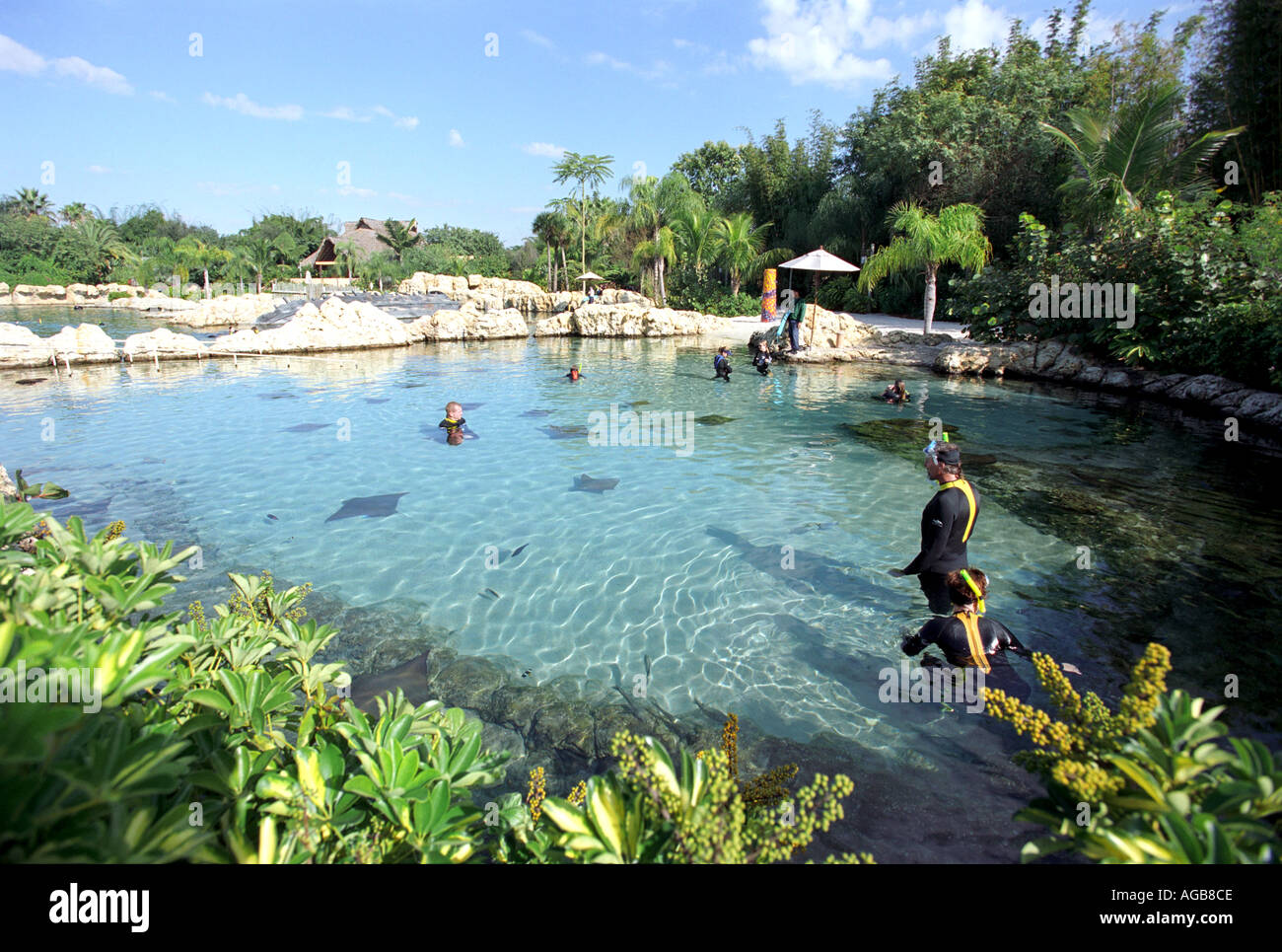 Discovery cove florida hi-res stock photography and images - Alamy