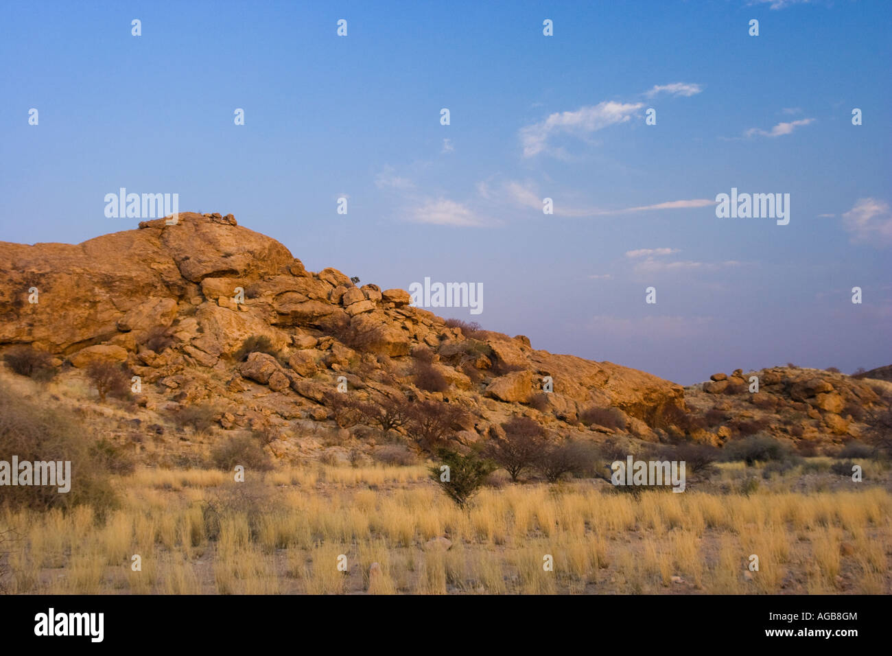 Arid zone hi-res stock photography and images - Alamy