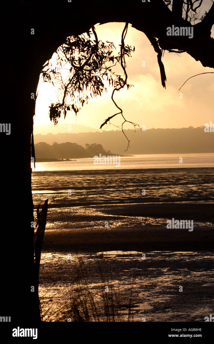 BEAUTY POINT TASMANIA AUSTRALIA VERTICAL BAPDB8564 Stock Photo - Alamy