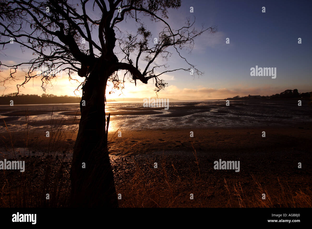 Beauty point tasmania hi-res stock photography and images - Alamy