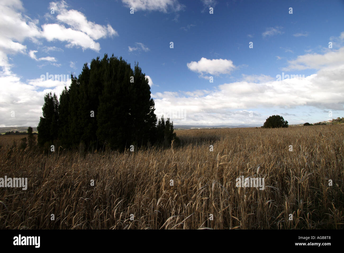 Nowhere else tasmania hi-res stock photography and images - Alamy