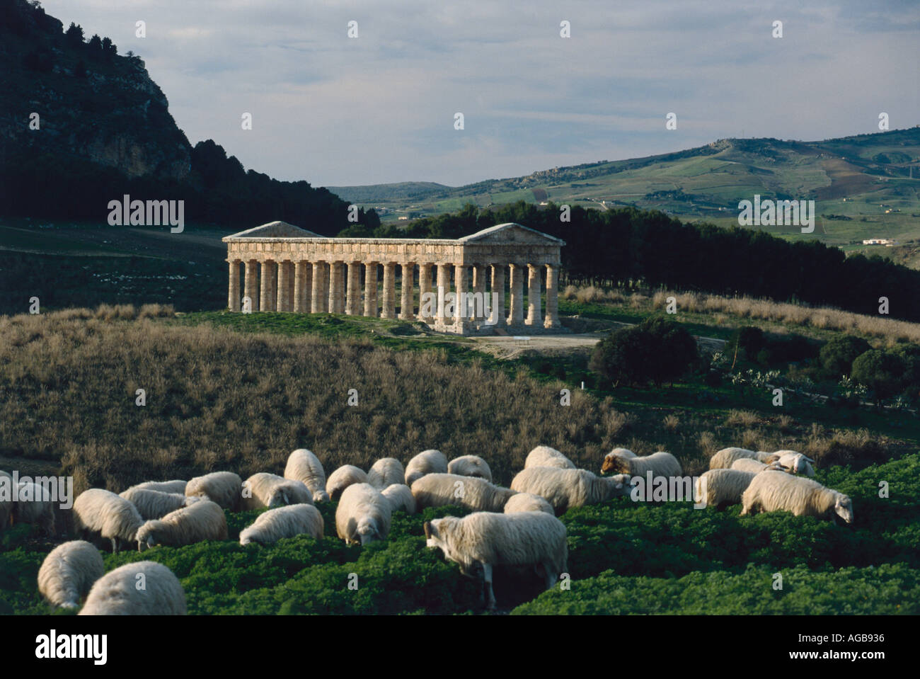 Segesta the Temple was probably built by a Greek architect in about 420 ...