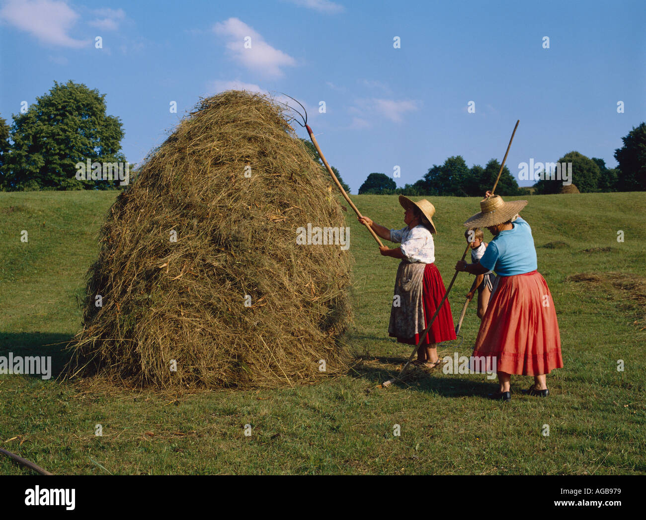 Local farmers making conical haystack in Mera Stock Photo - Alamy