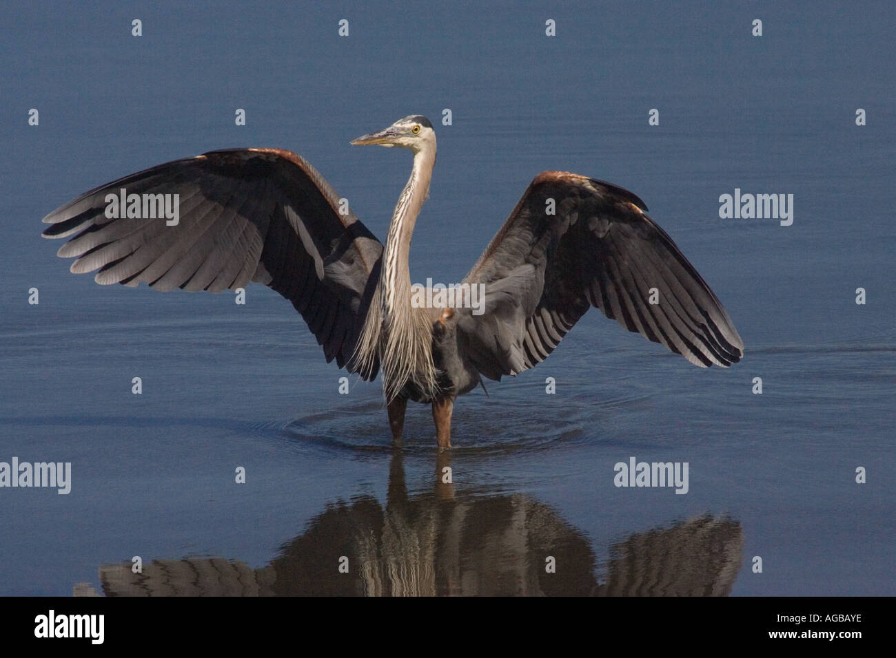 Whoa is me hi-res stock photography and images - Alamy