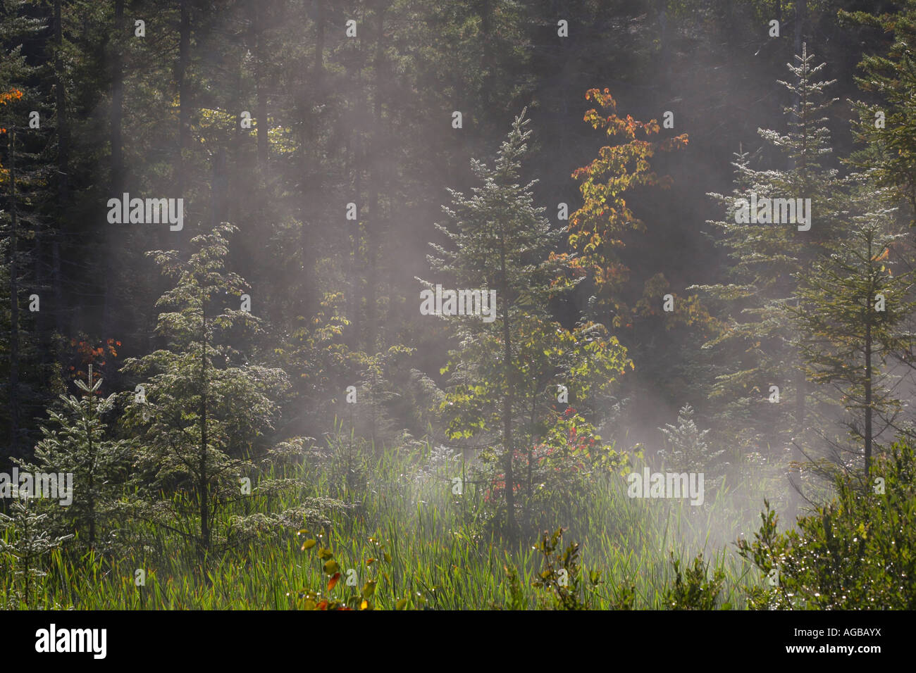 Early morning mist in the Adirondack Mountain region of New York State ...