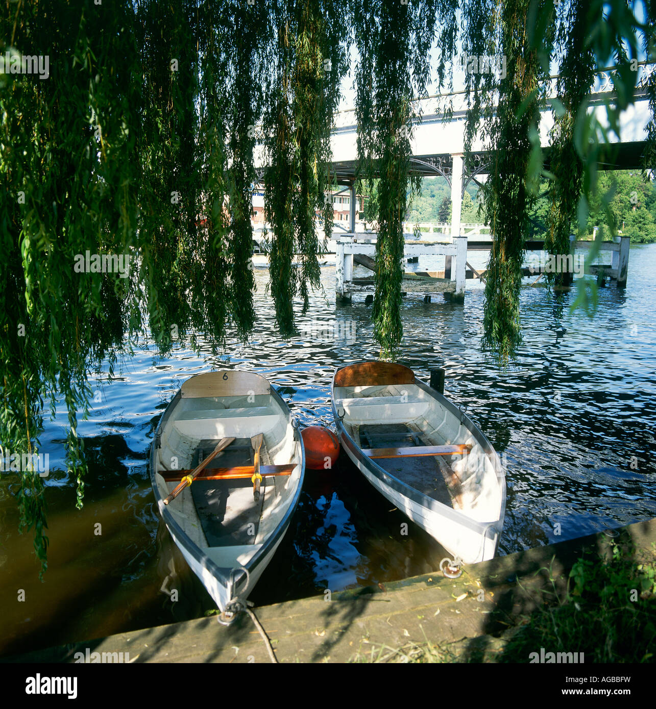 Two wooden rowing boats moored at the side of the River Thames beyond ...