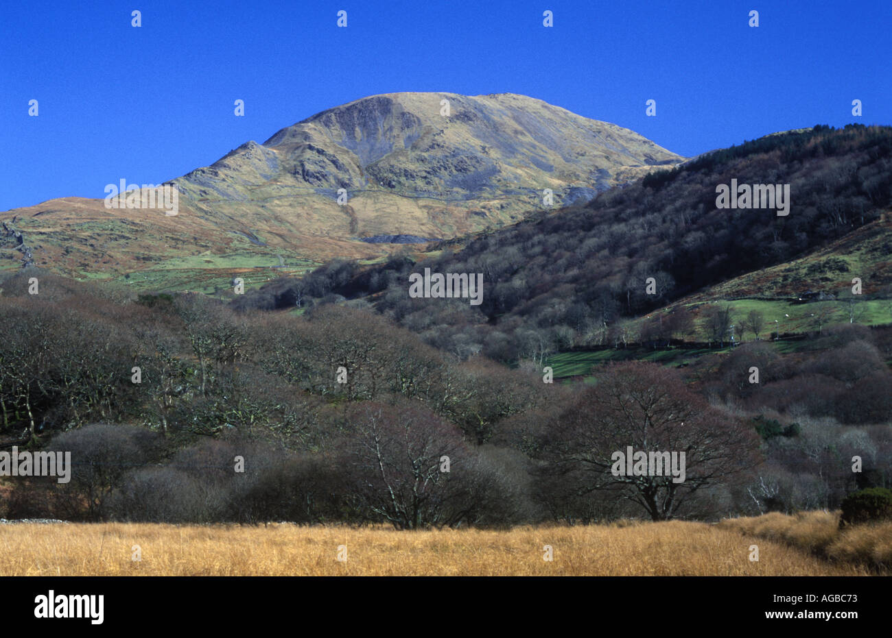 Moelwyn mountain range hi-res stock photography and images - Alamy