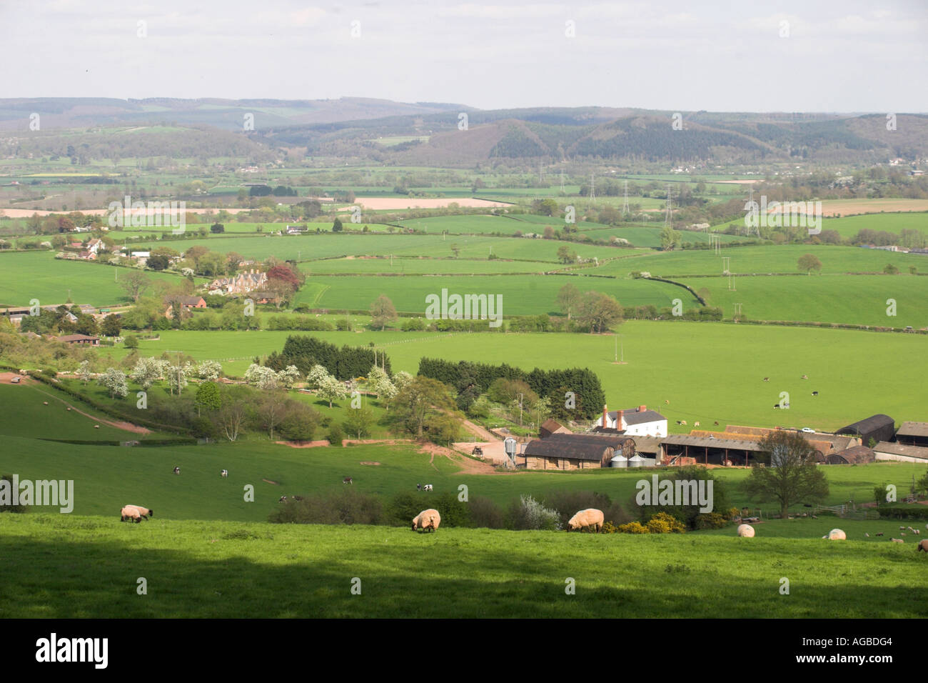 View over open countryside Herefordshire UK Stock Photo - Alamy