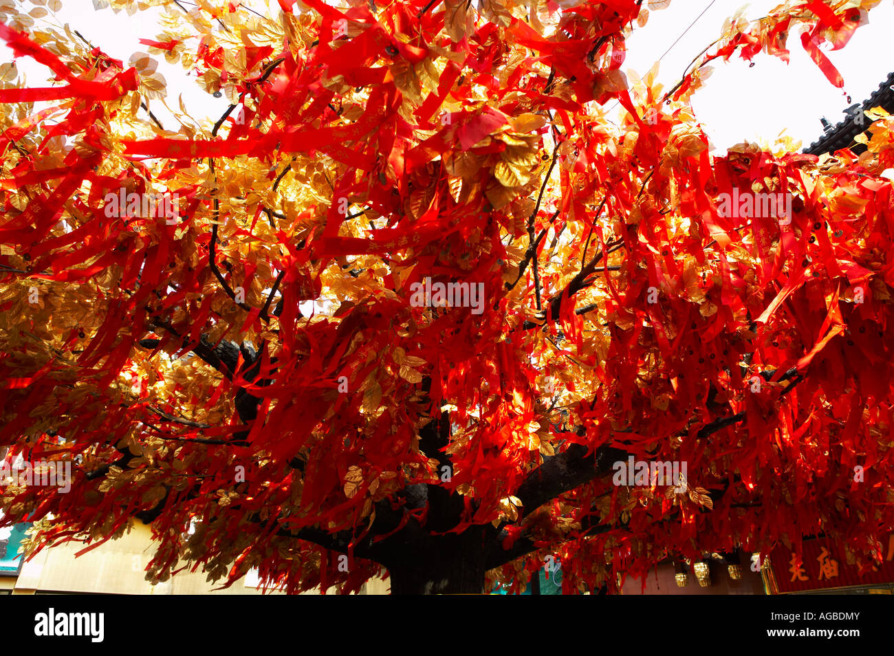 Notes hung on wishing tree Stock Photo - Alamy