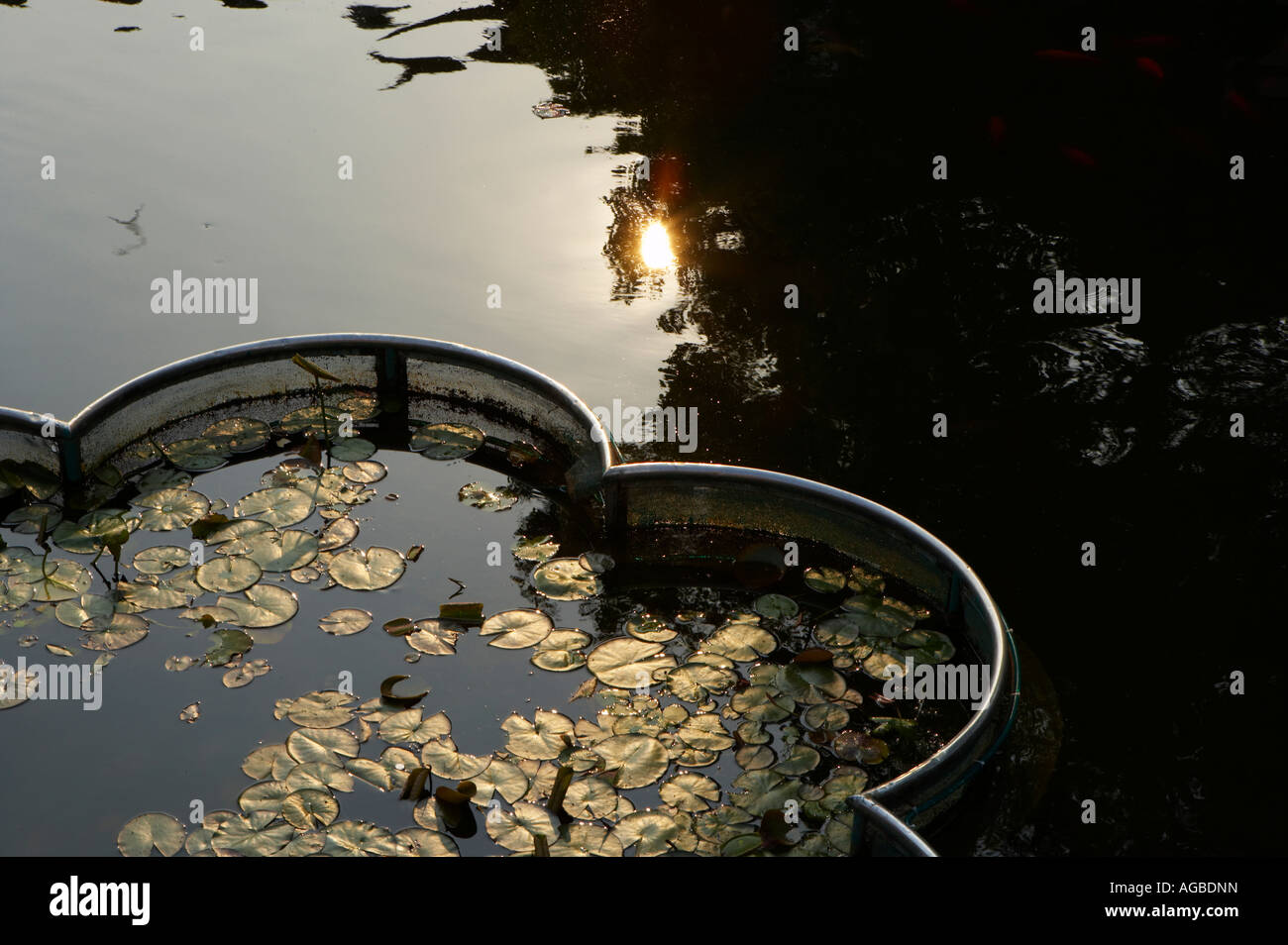 Pond at Yu Yuan Garden, Shanghai, China Stock Photo - Alamy Pond at Yu Yuan Garden, Shanghai, China Stock Photo - Alamy